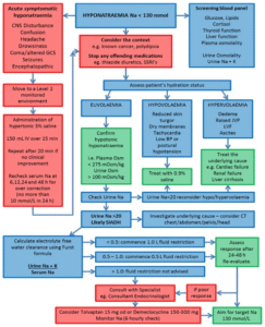 Hyponatraemia in Labour – Medisprep